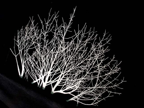 Espantasuegras / Bárbara Belloc – CUARTA PROSA