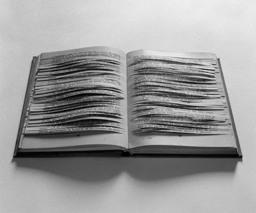 Censura literaria o siempre lo mismo. Un registro / Laura Estrin ...